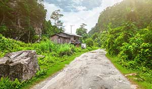 How Can I Invest in Rural Areas?